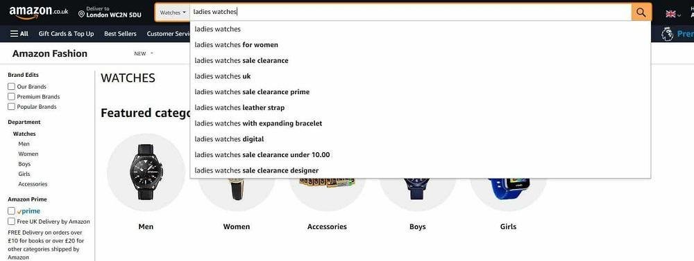 Ecommerce Site Search Guide: The What, Why And How