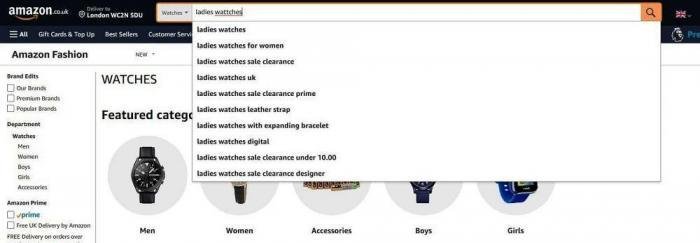 Ecommerce Site Search Guide: The What, Why And How